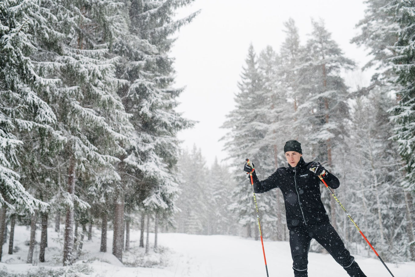 Element Collection | Trimtex